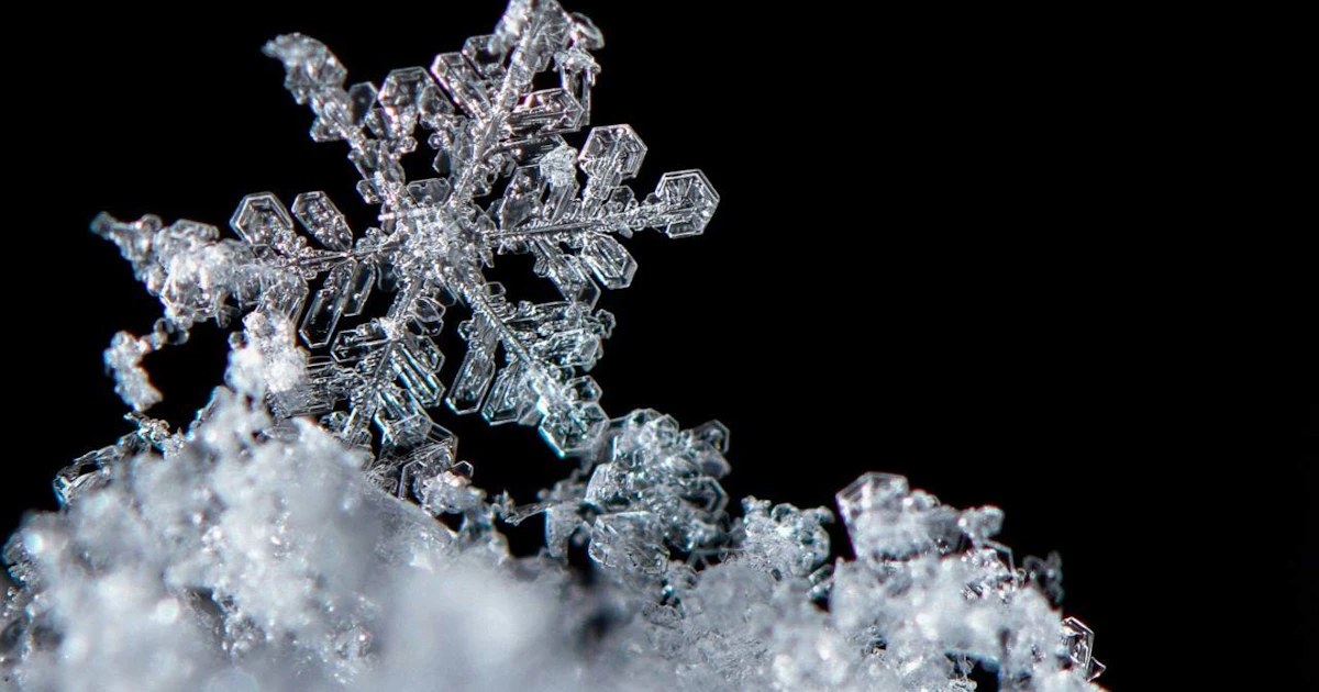 Le vent modifie la composition des flocons de neige