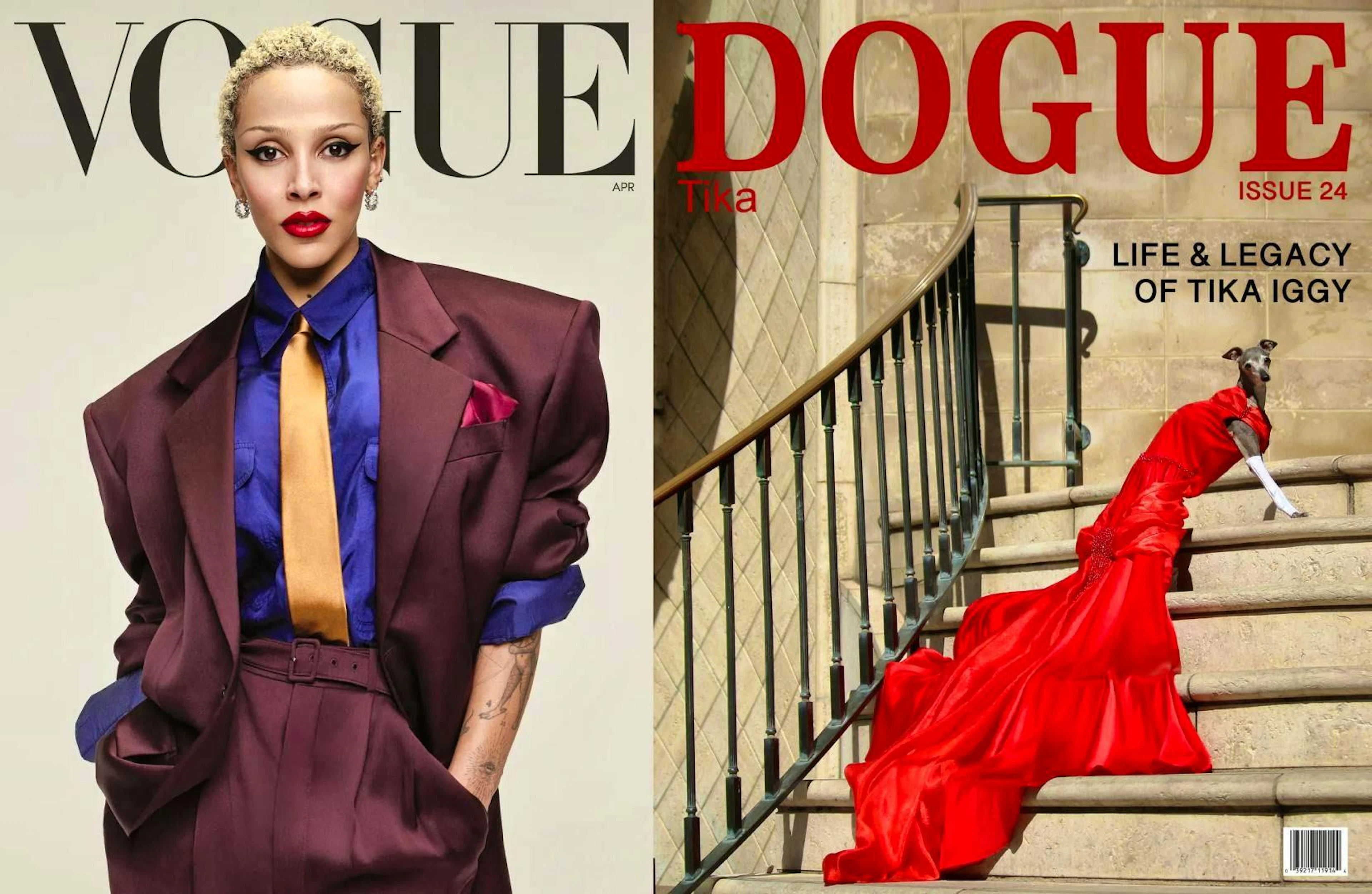 Fashion giant sues small dog magazine - and speaks of "irreparable damage"