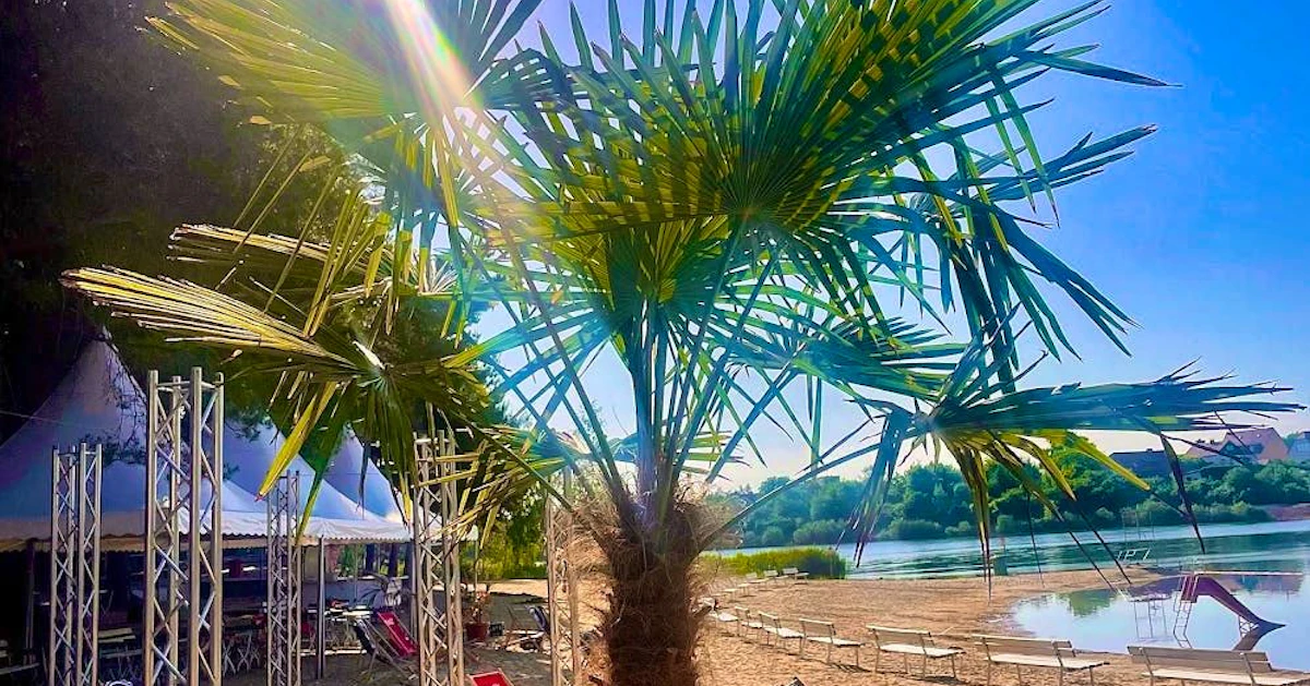 Beach in Germany Denies Entry to Those Without German Language Skills
